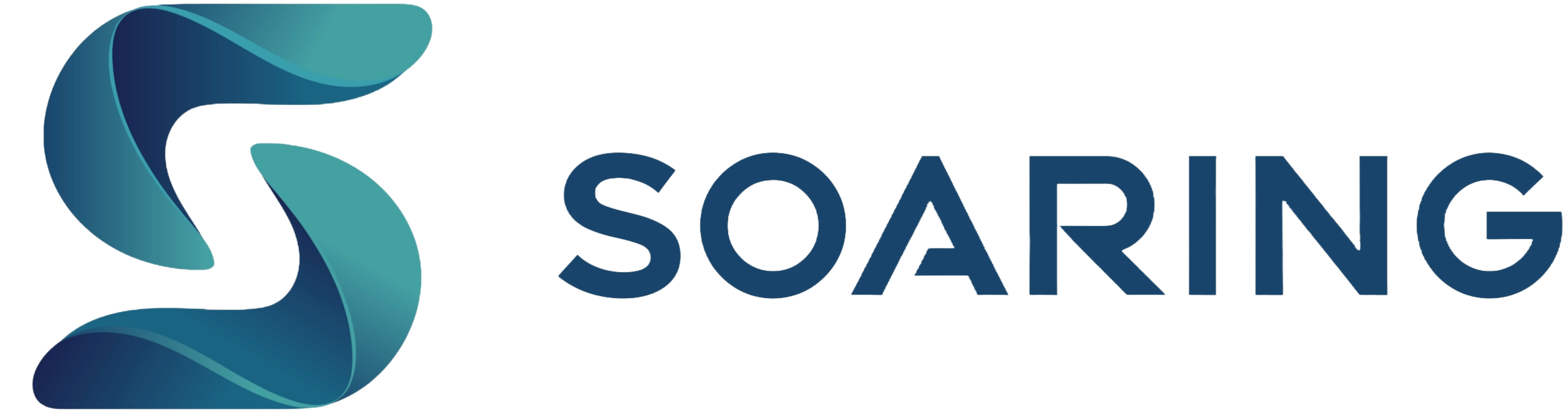 Soaring - Transforming Business Through Technology